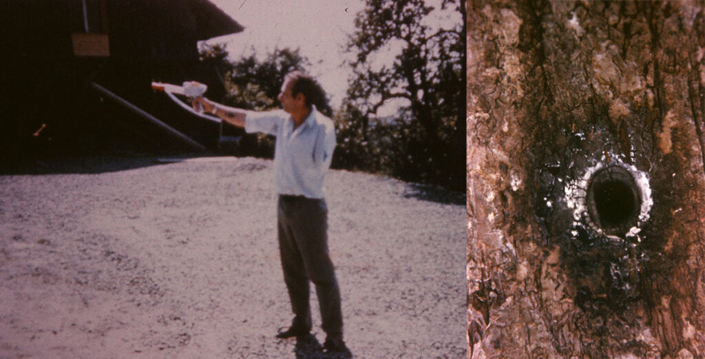 Exploring the Billy Meier Case - Openminds.tv